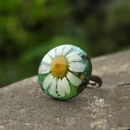 Adjustable Resin Statement Ring With Real Chamomile Flower on Luulla